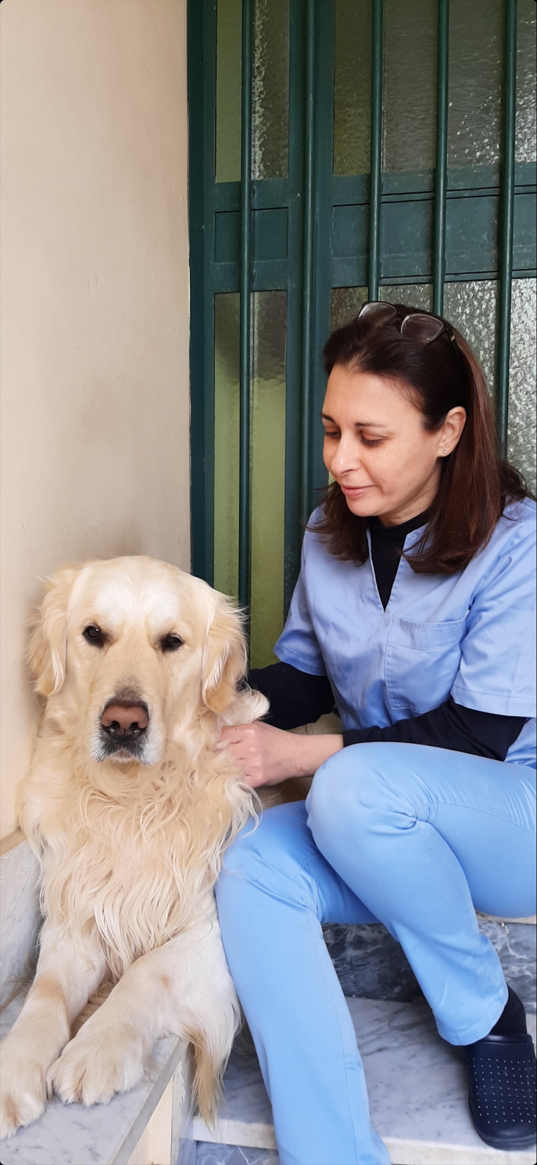 Dott.ssa Daniela Di Benedetto - Veterinario Vicino a Me